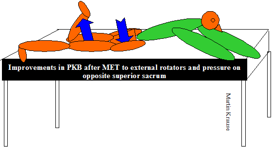 Do the opposite femoral nerve (neural dynamics), external rotators ...